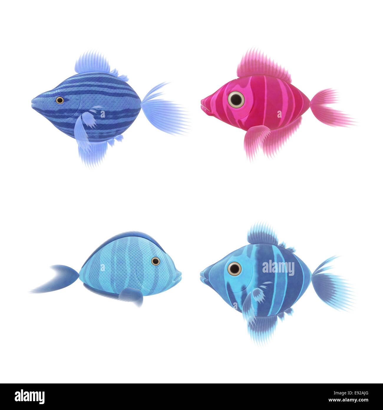 four fish illustrations Stock Photo - Alamy