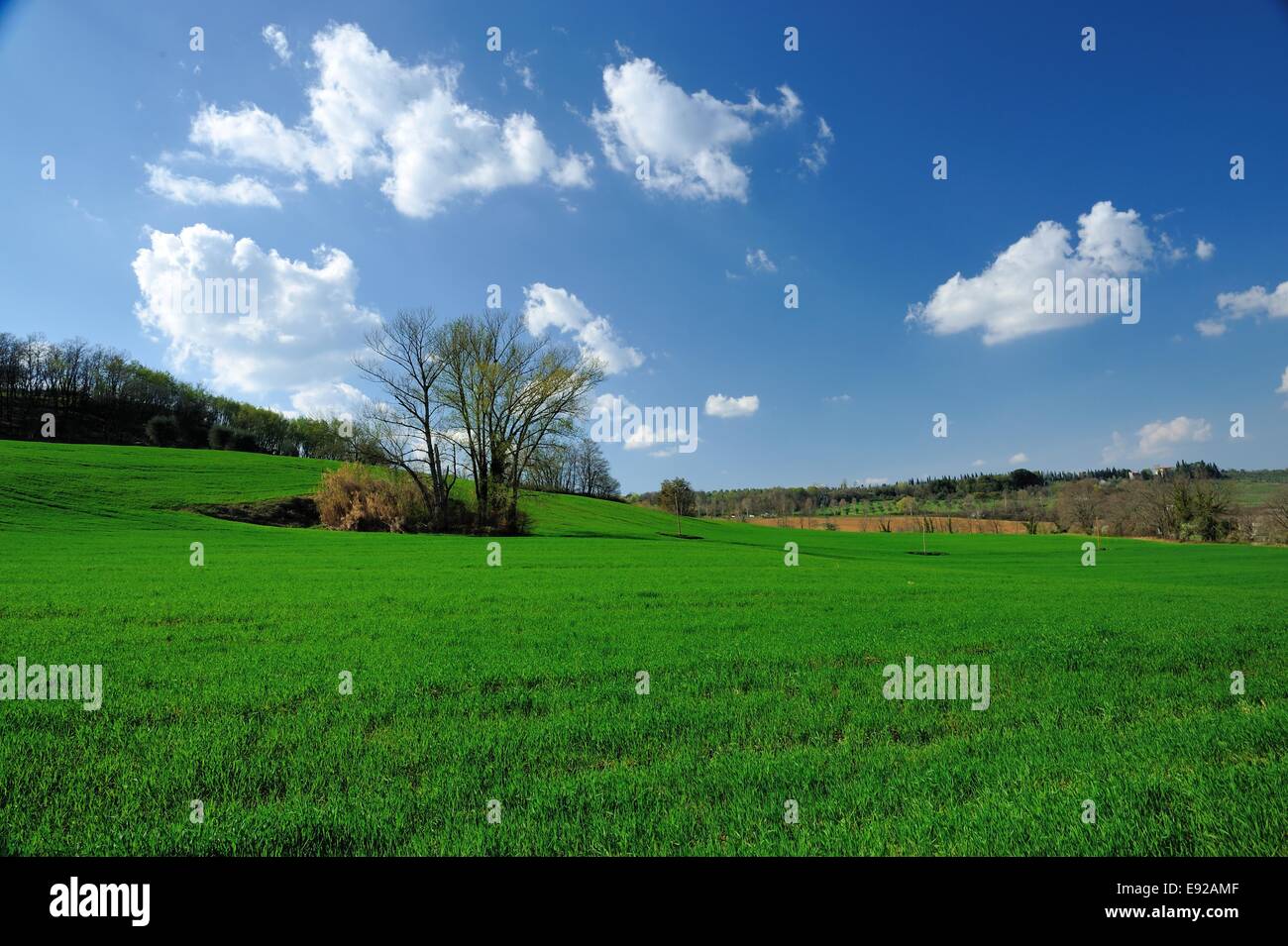 Grassy hill under sky with clouds hi-res stock photography and images ...
