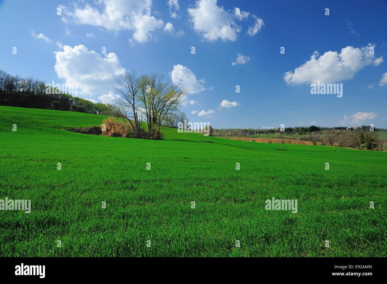 Greenfield under a blue sky Stock Photo - Alamy