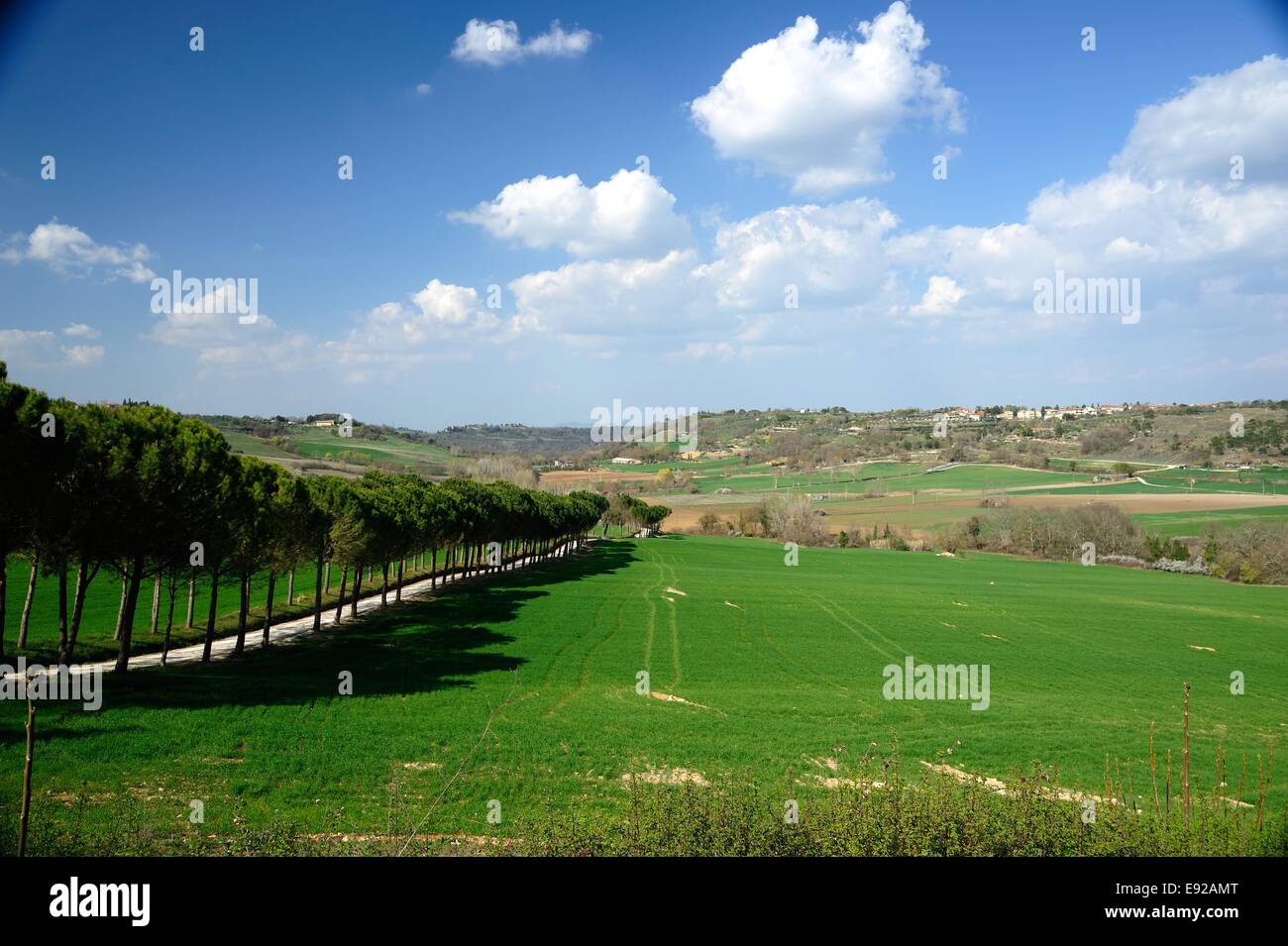 Greenfield under a blue sky Stock Photo - Alamy