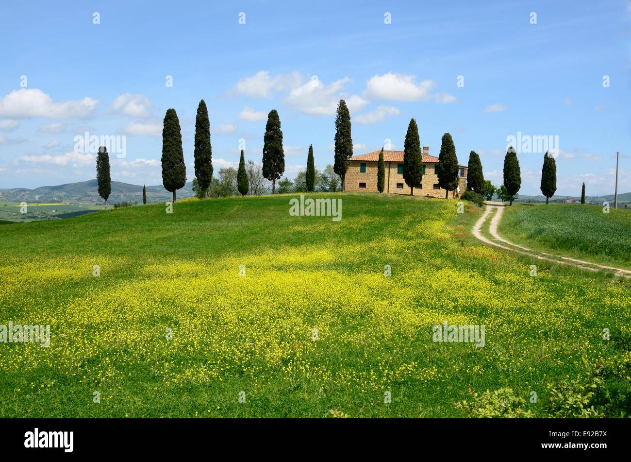 Val d'Orcia (Tuscany Stock Photo - Alamy