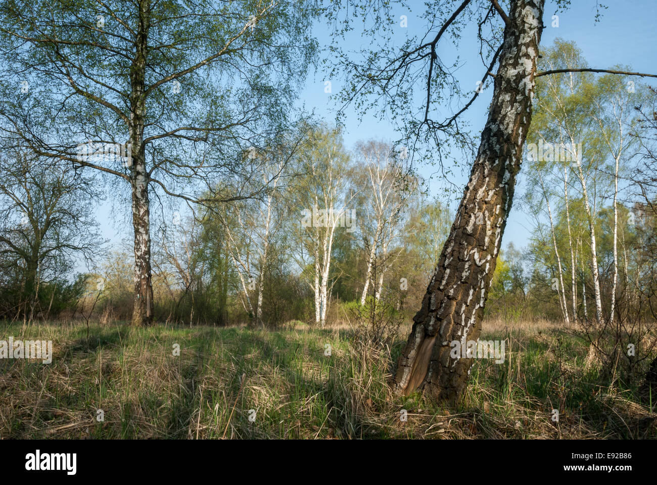 Outskirts of berlin hi-res stock photography and images - Alamy
