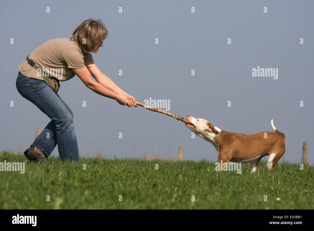 Measure fight hi-res stock photography and images - Alamy