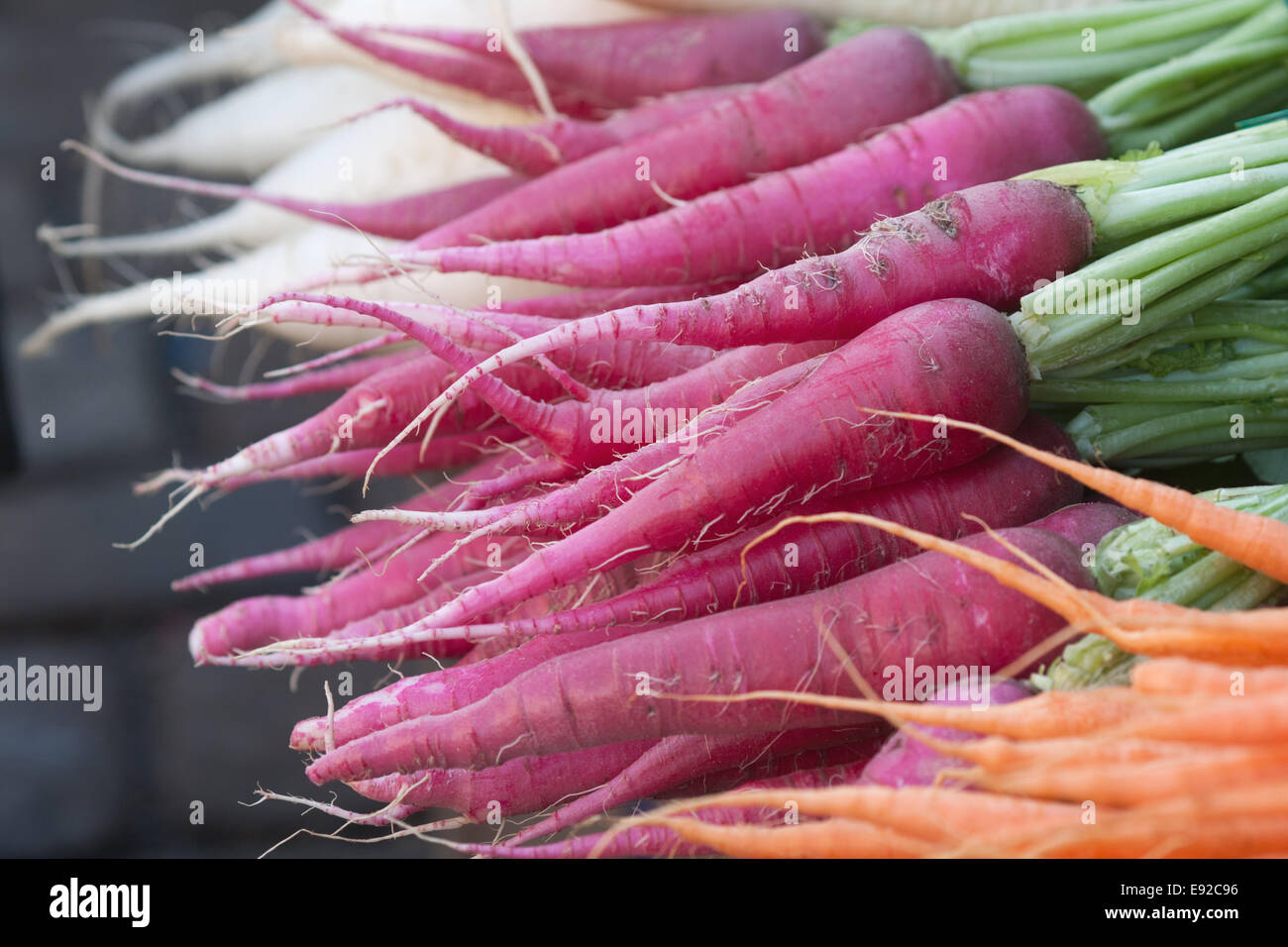 Raddish hi-res stock photography and images - Alamy