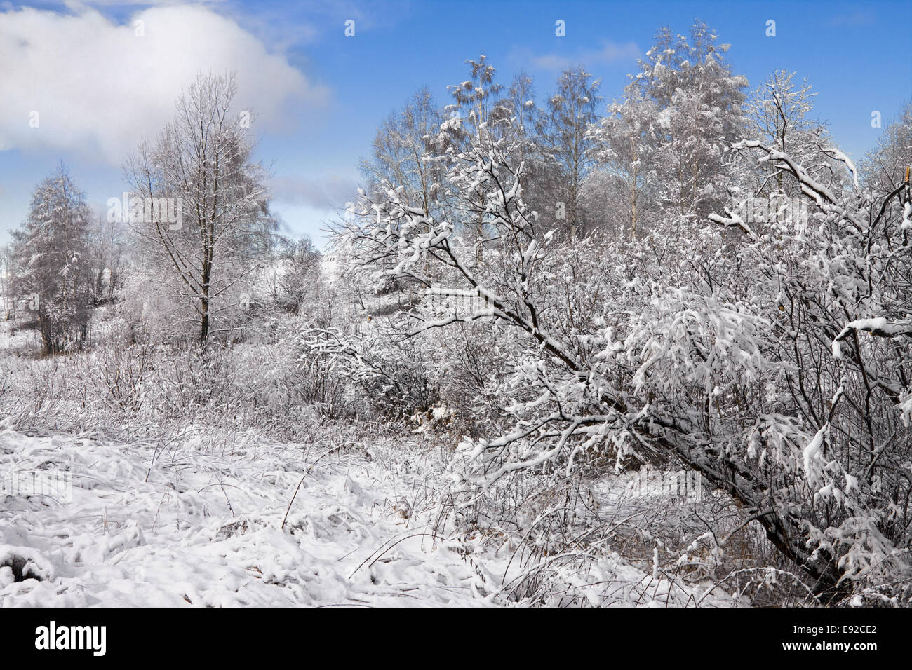 The first snow Stock Photo - Alamy