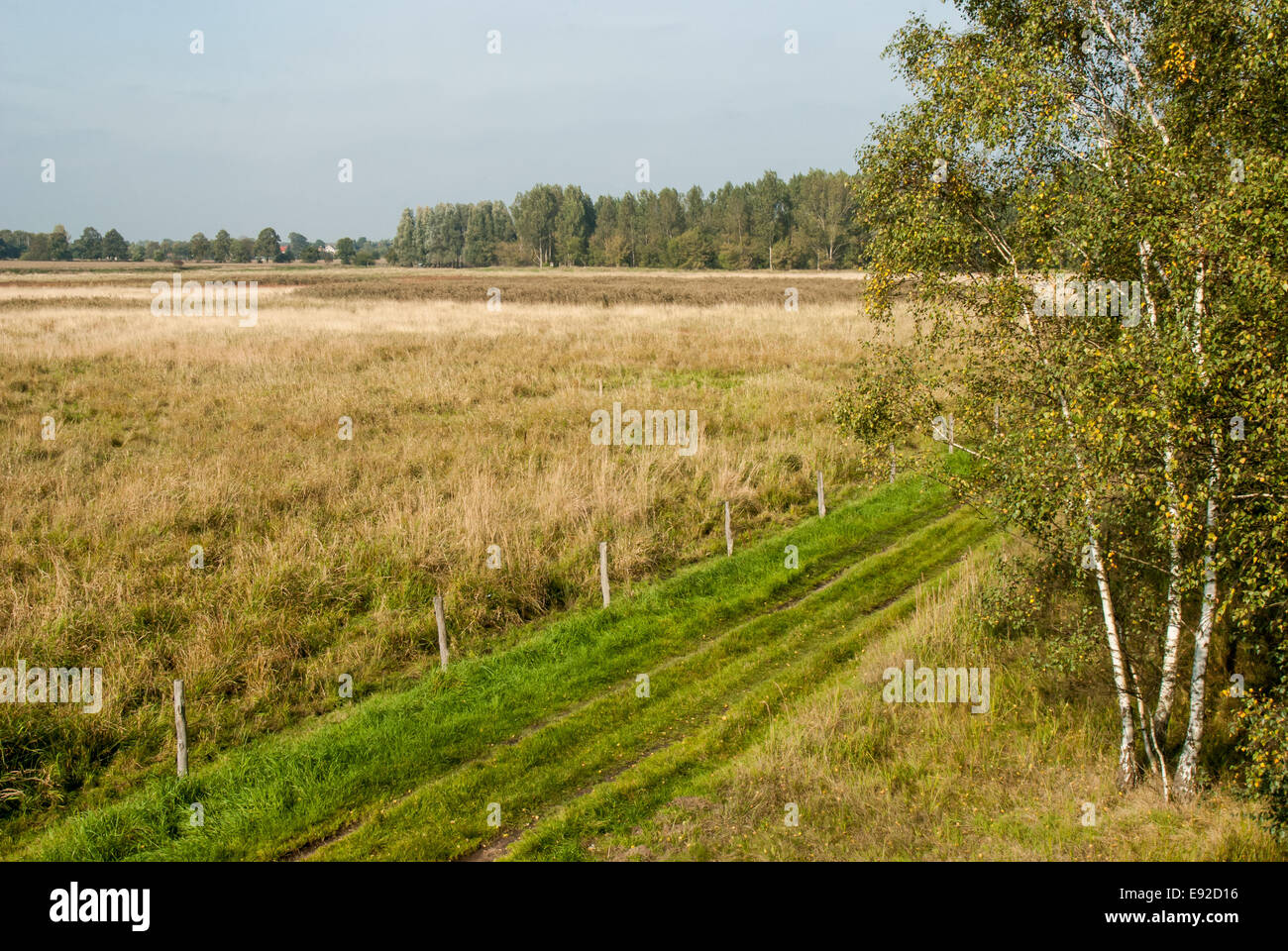 Bucher forst hi-res stock photography and images - Alamy
