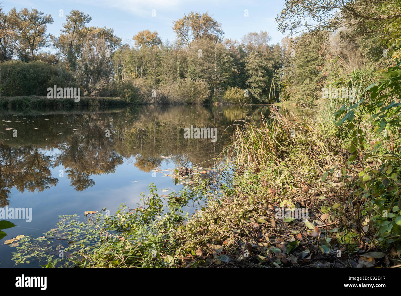 Bogensee hi-res stock photography and images - Alamy