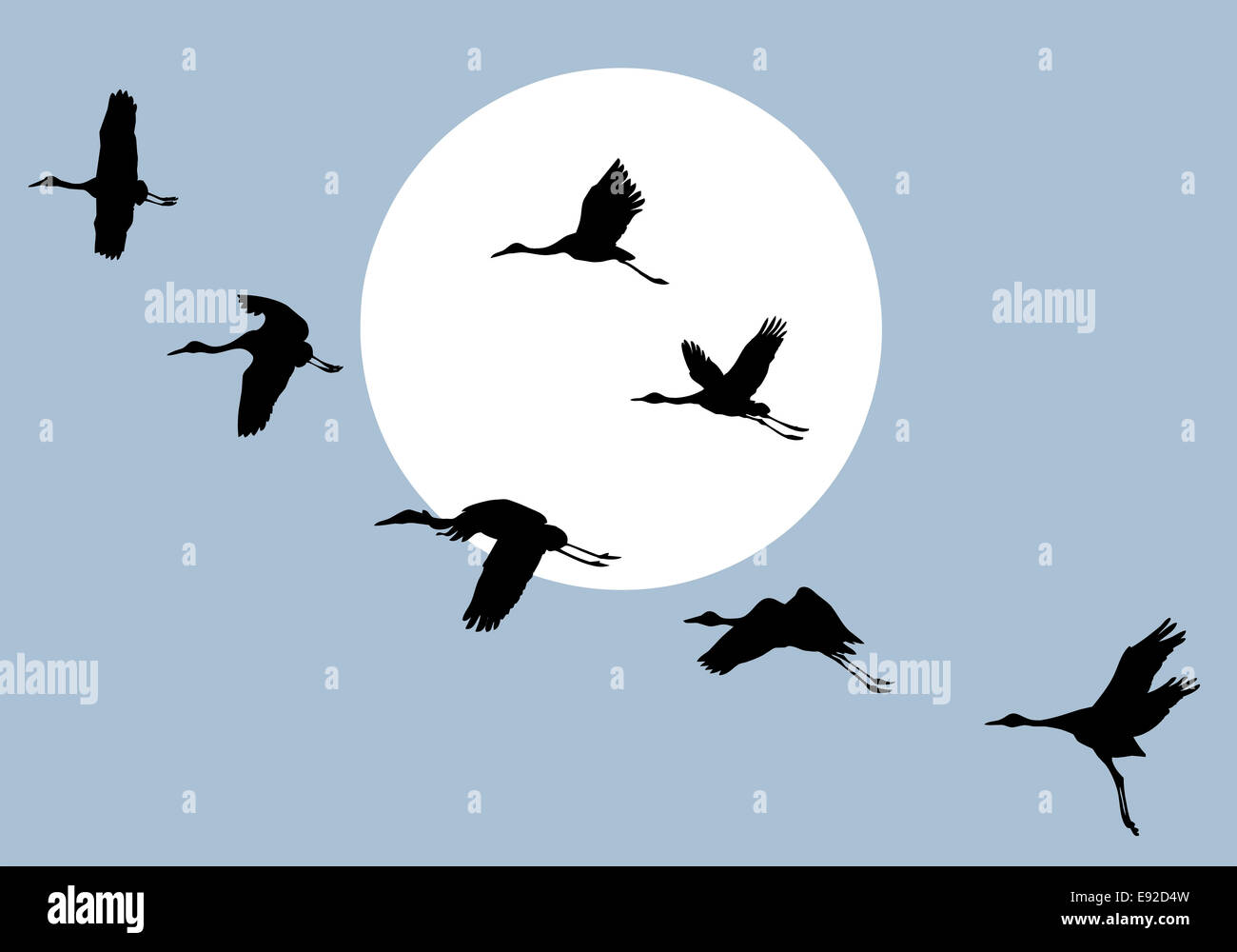 Flying crane hi-res stock photography and images - Alamy