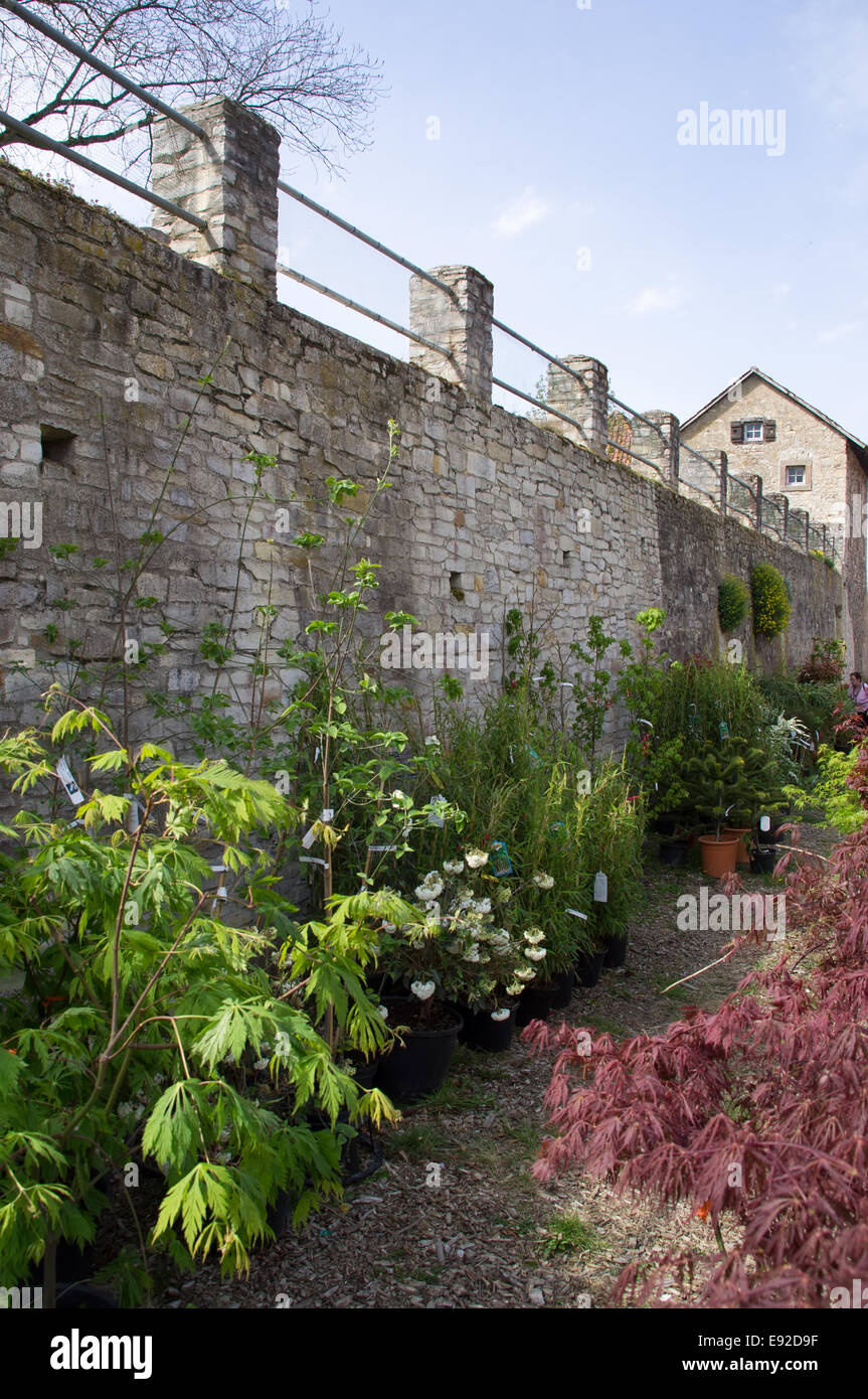 Dalheimer hi-res stock photography and images - Alamy