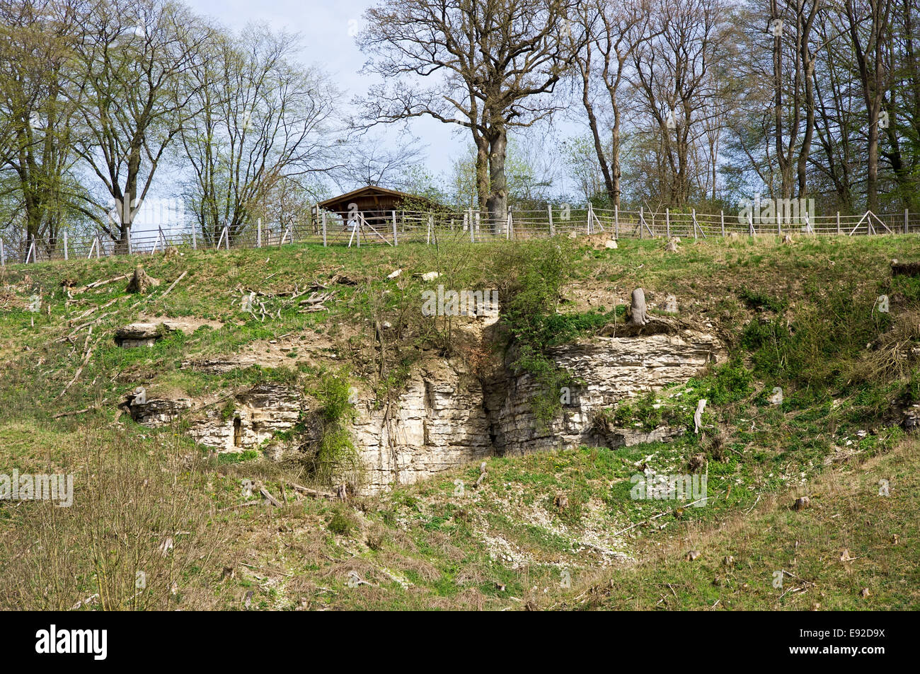 Dalheim germany hi-res stock photography and images - Alamy
