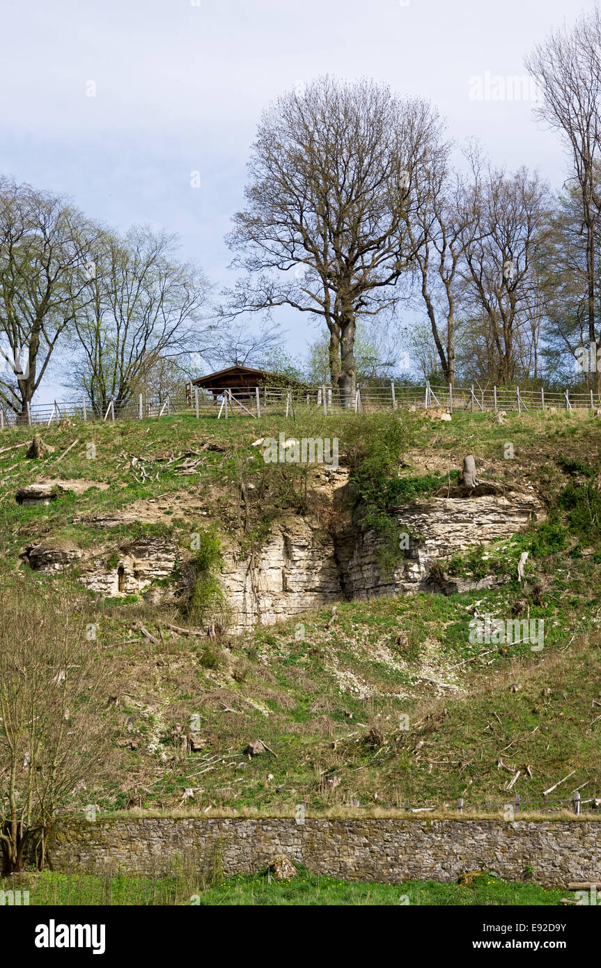 Dalheim germany hi-res stock photography and images - Alamy