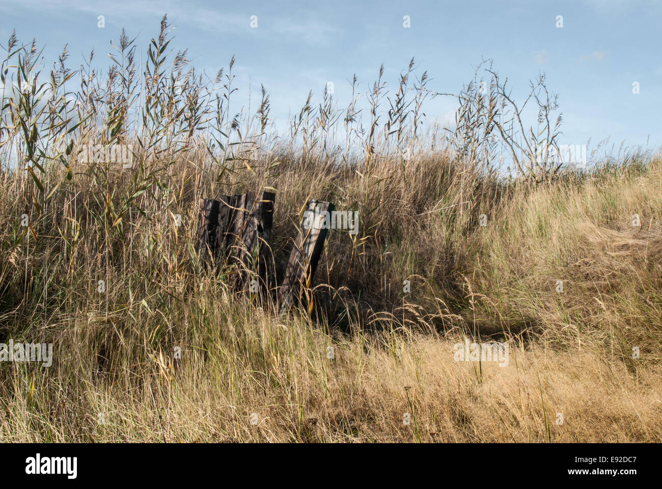 Old shooting range in the grass Stock Photo - Alamy