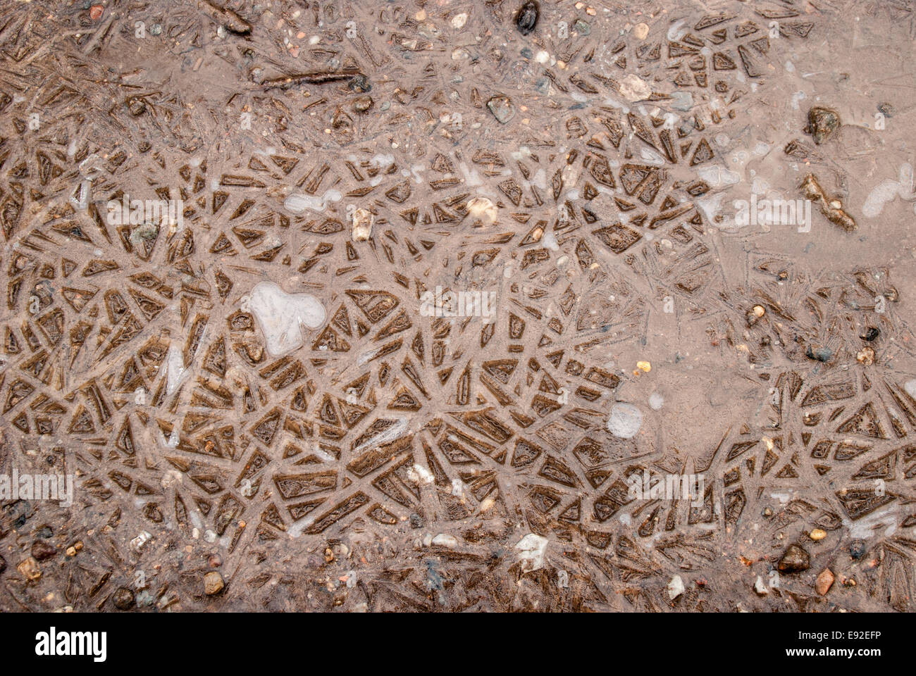Ice on ground hi-res stock photography and images - Alamy