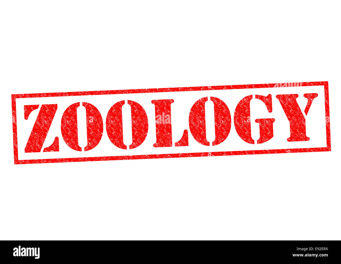 Zoology research Cut Out Stock Images & Pictures - Alamy