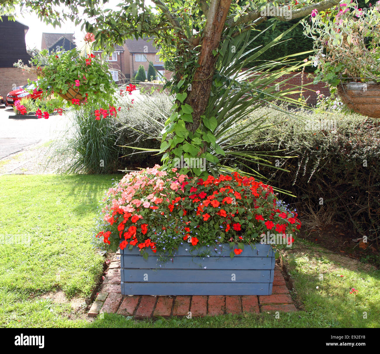plant container surrounding the base of a tree Stock Photo - Alamy