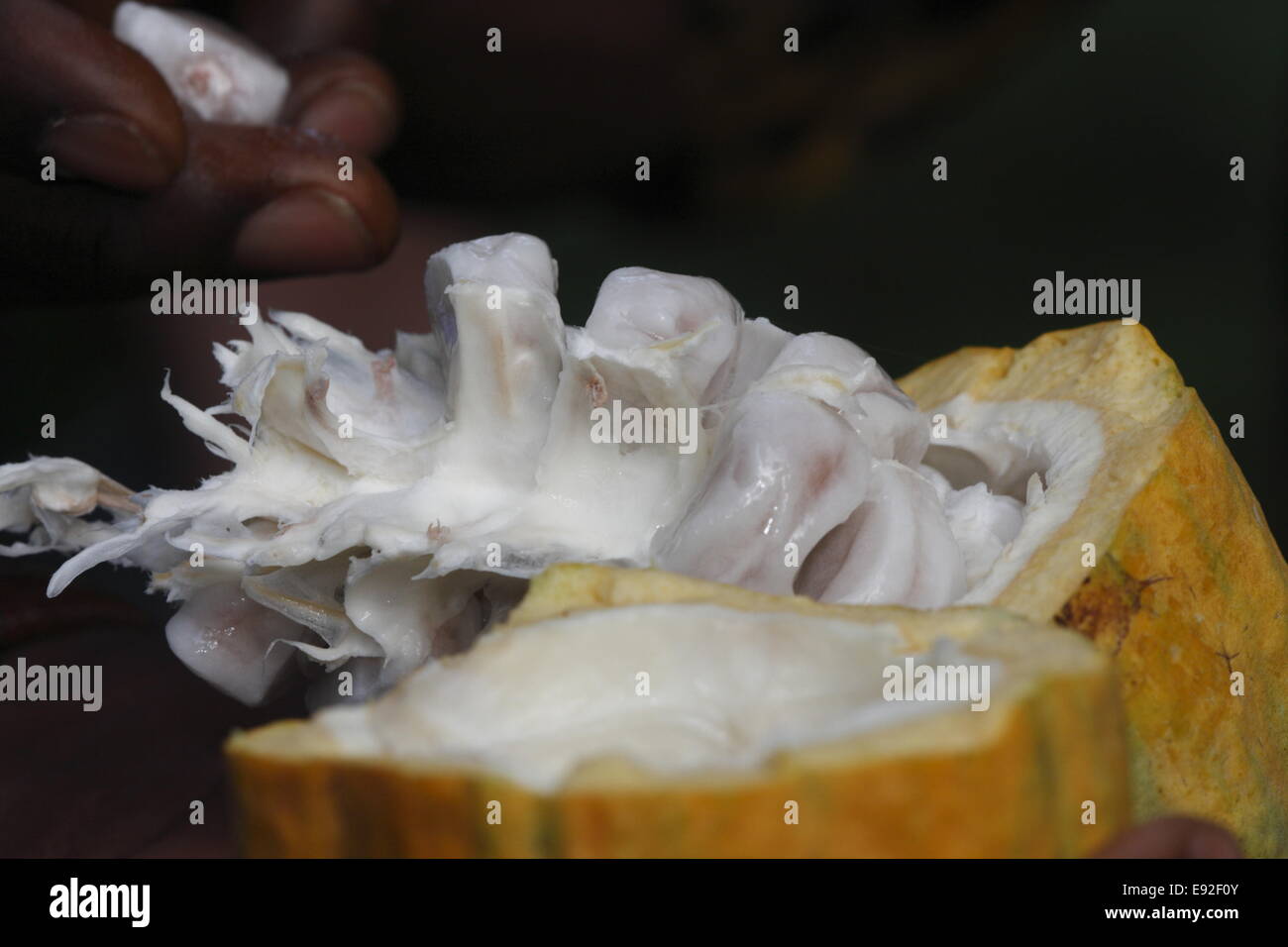Ghanaian fruit hi-res stock photography and images - Alamy