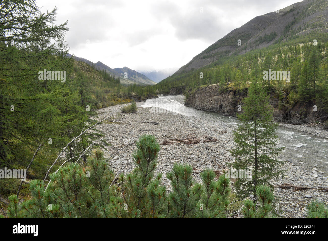 The river in mountains of Yakutia. Cloudy landscape on a route Yakutsk ...