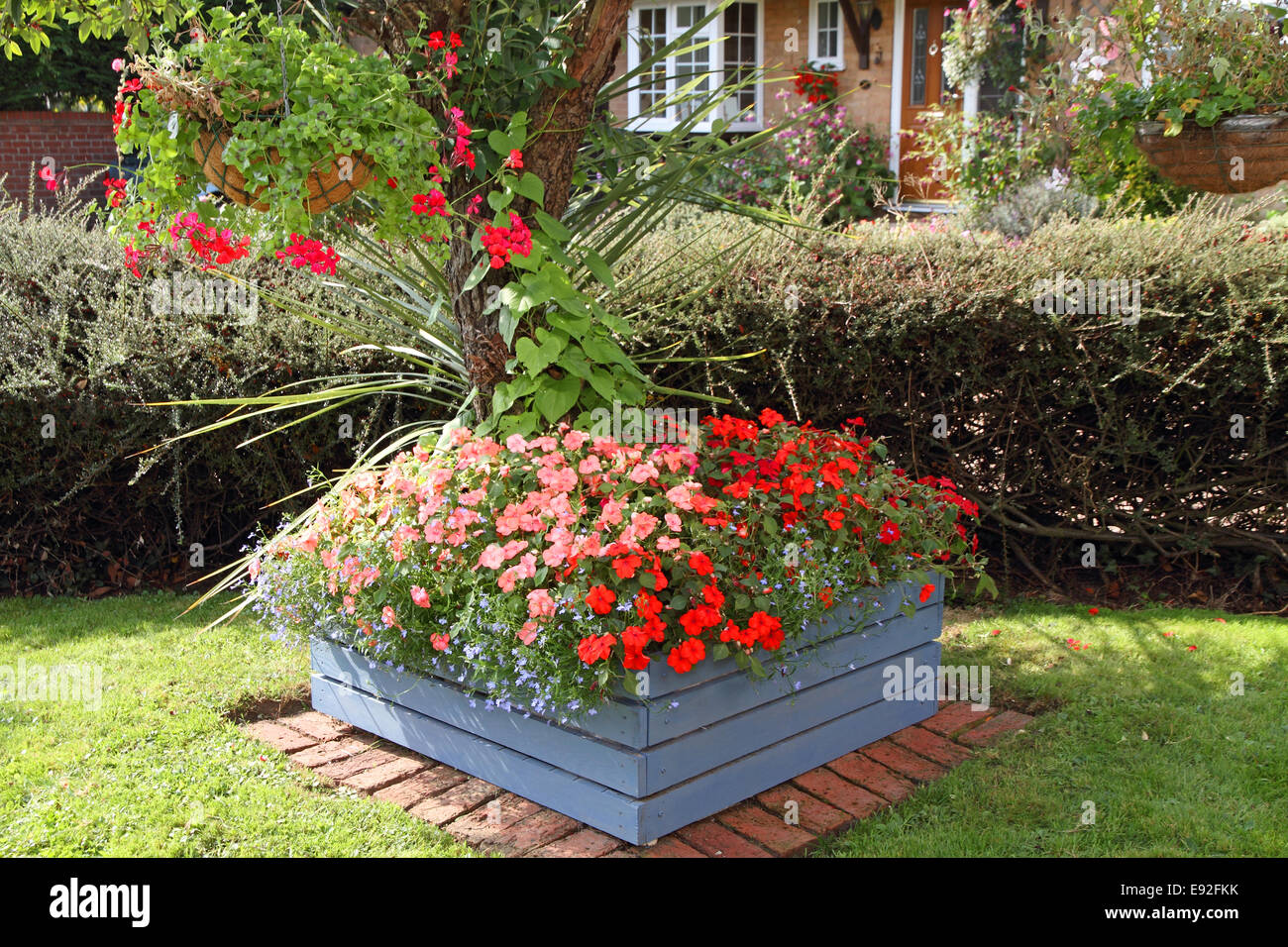 plant container surrounding the base of a tree Stock Photo - Alamy