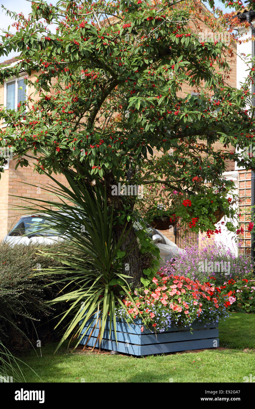 plant container surrounding the base of a tree Stock Photo - Alamy
