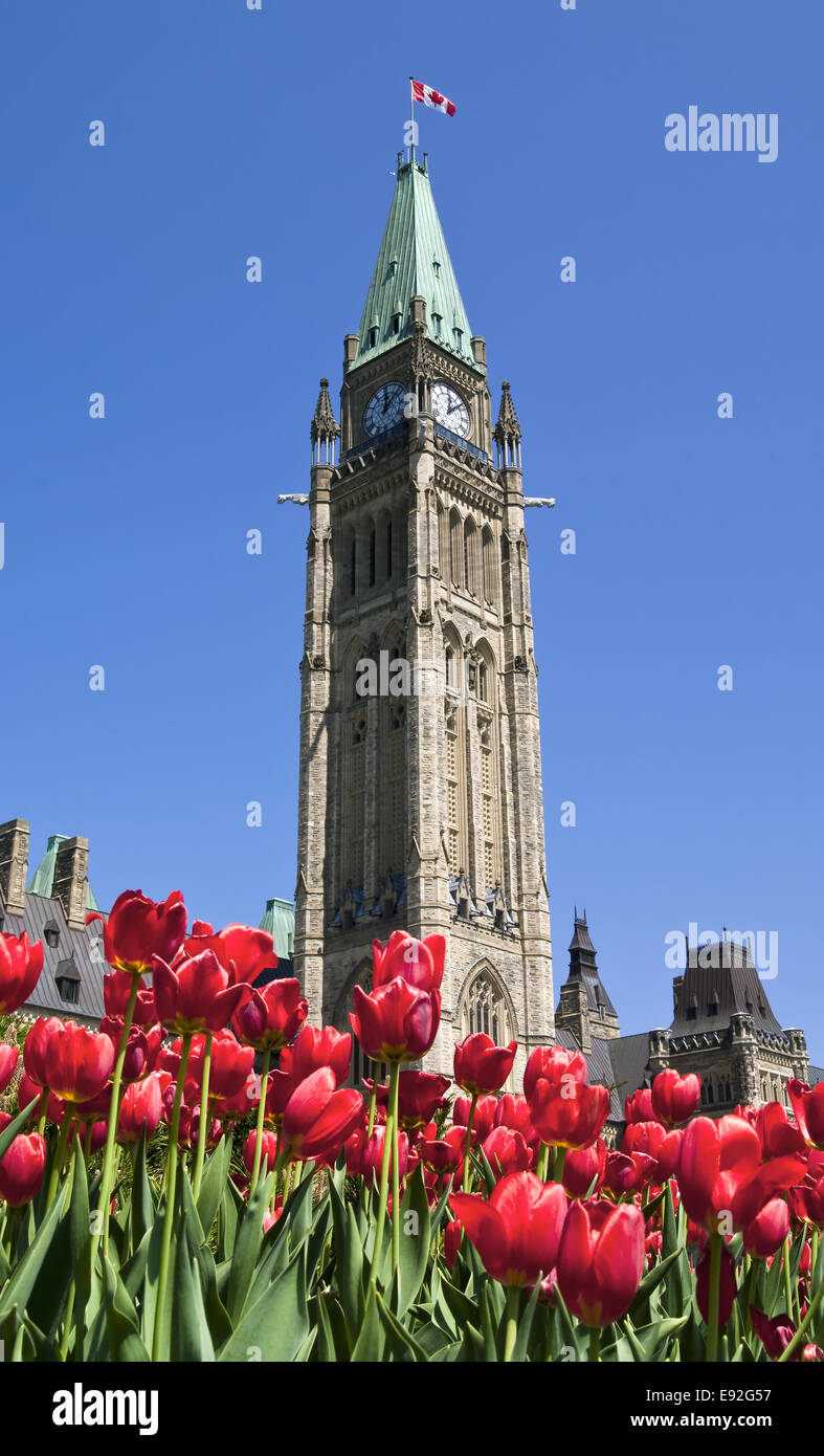 Canadian parliament at spring time hi-res stock photography and images ...