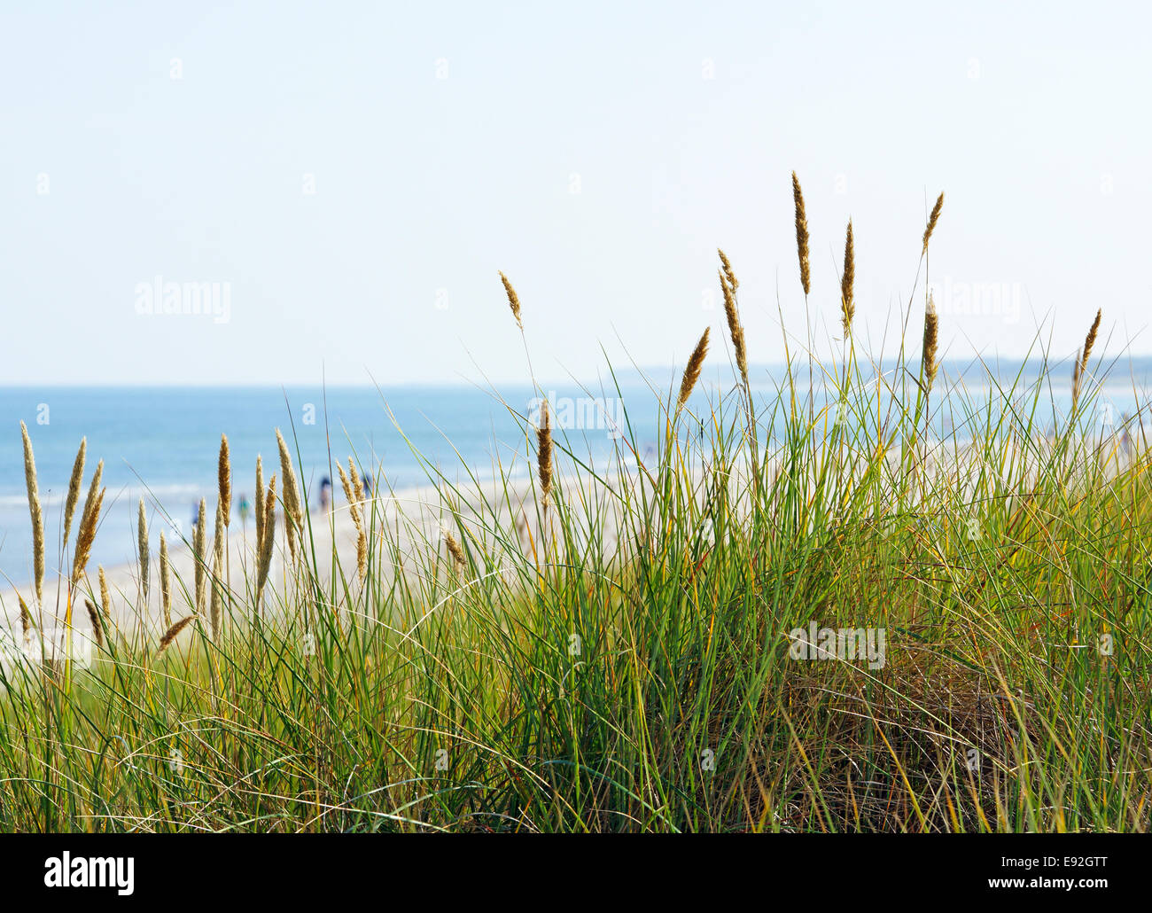At the Beach Stock Photo - Alamy