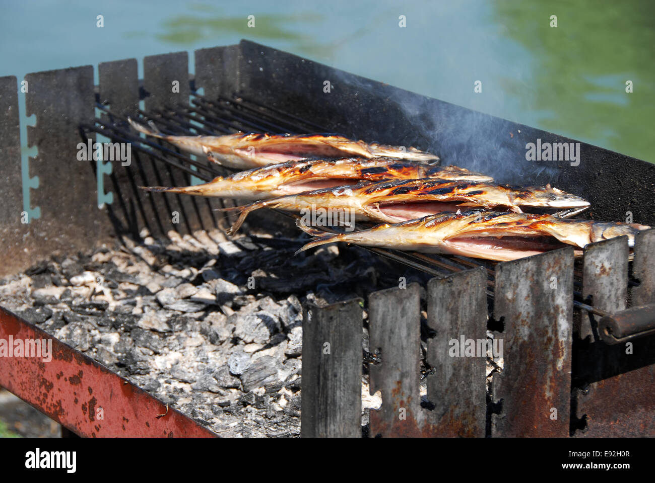 Grilled fish on barbecue Stock Photo - Alamy