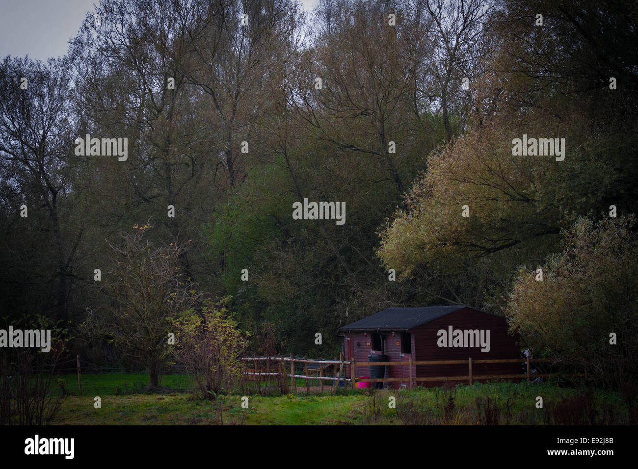 Stable scene on an autumn day Stock Photo - Alamy