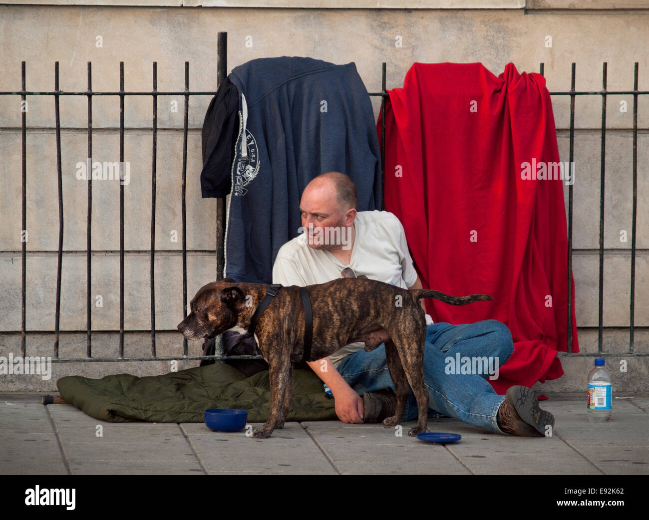 A homeless man with his dog on a street in Brighton Stock Photo - Alamy
