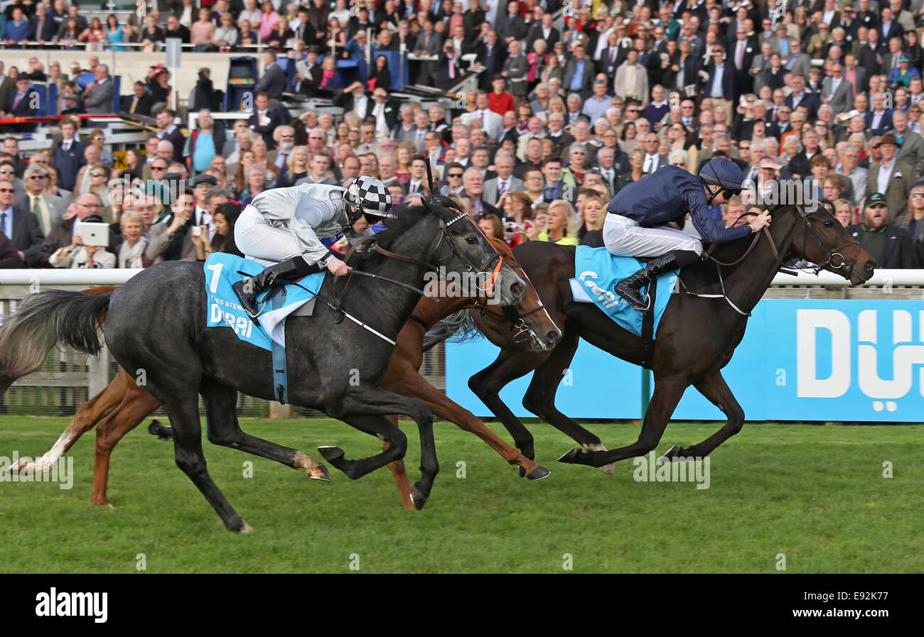 Newmarket rowley mile racecourse hi-res stock photography and images ...