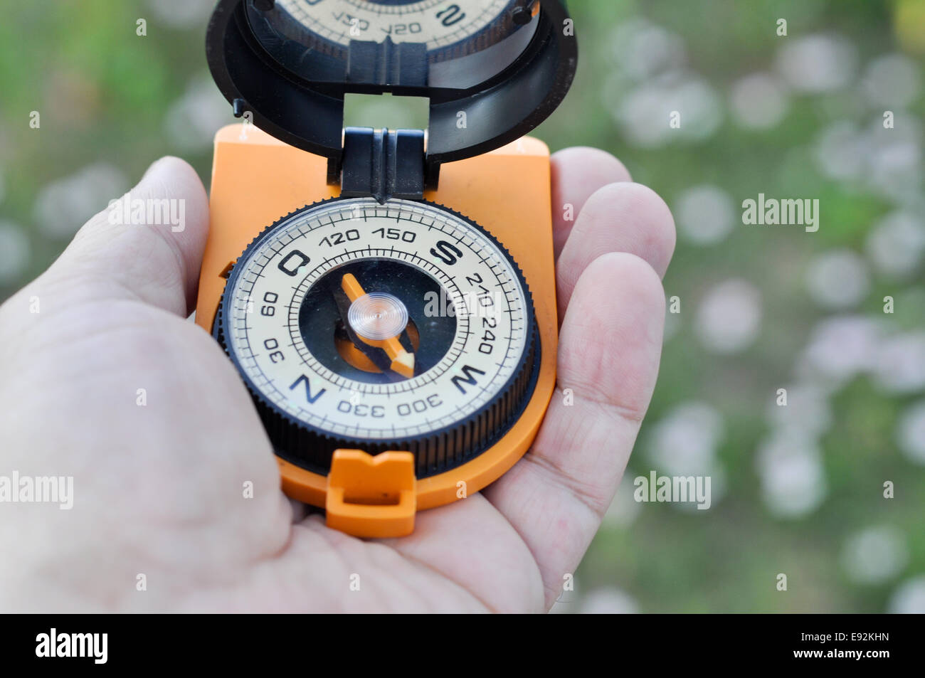 The compass in his hand. Magnetic compass in hand on the green meadows ...