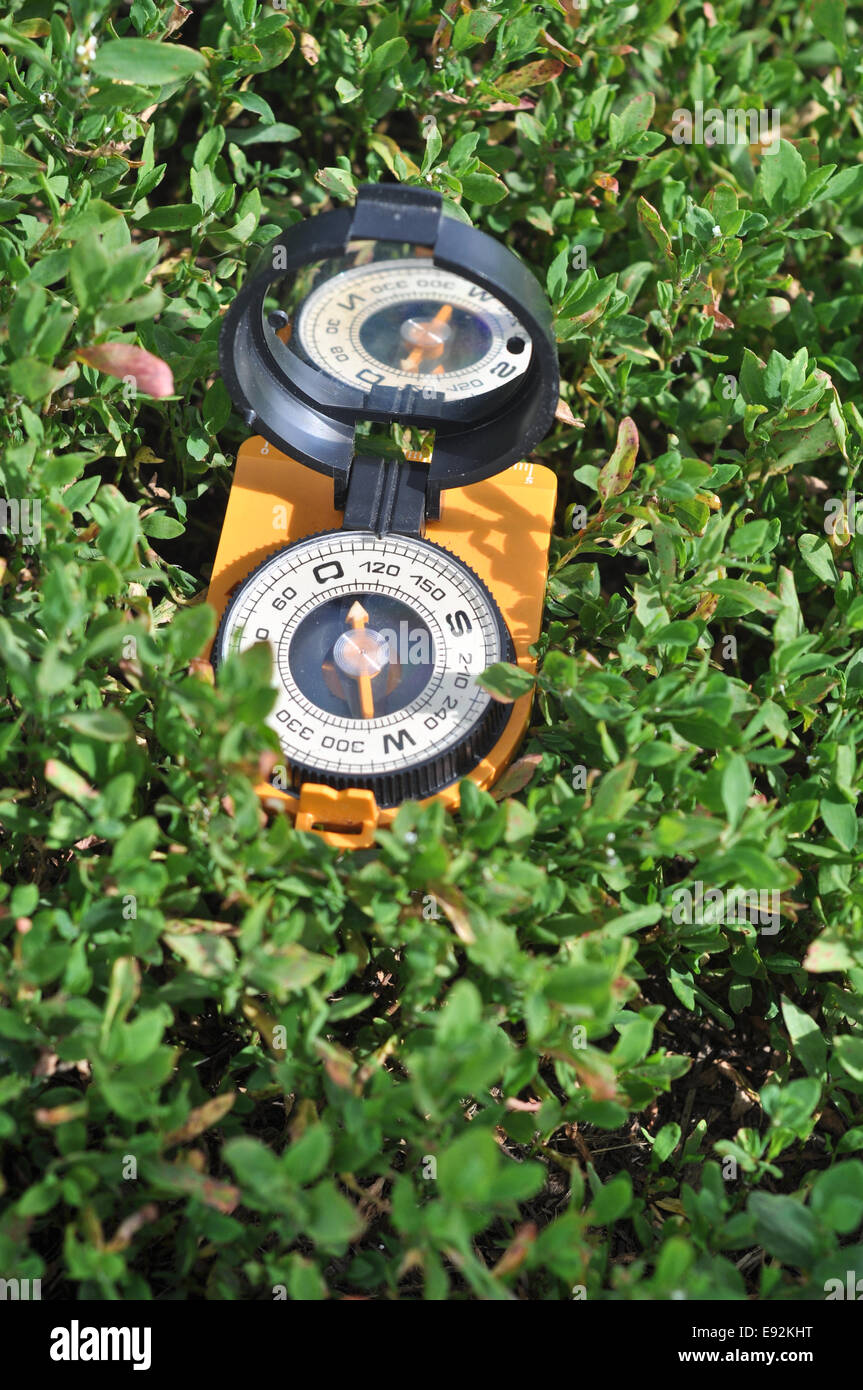 Compass grass magnet adventure hi-res stock photography and images - Alamy
