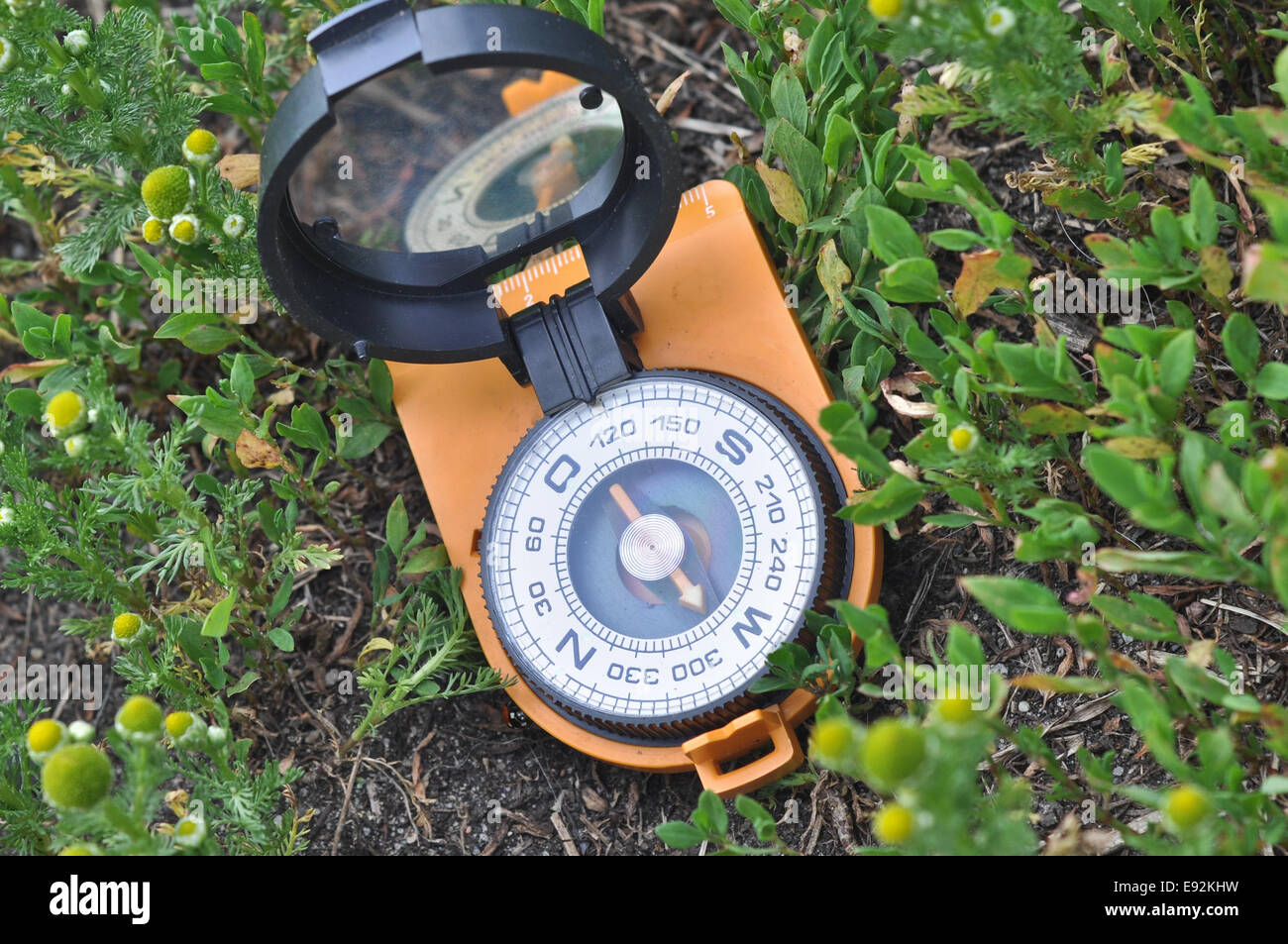 Compass in the grass. The magnetic compass is green grass on the meadow ...