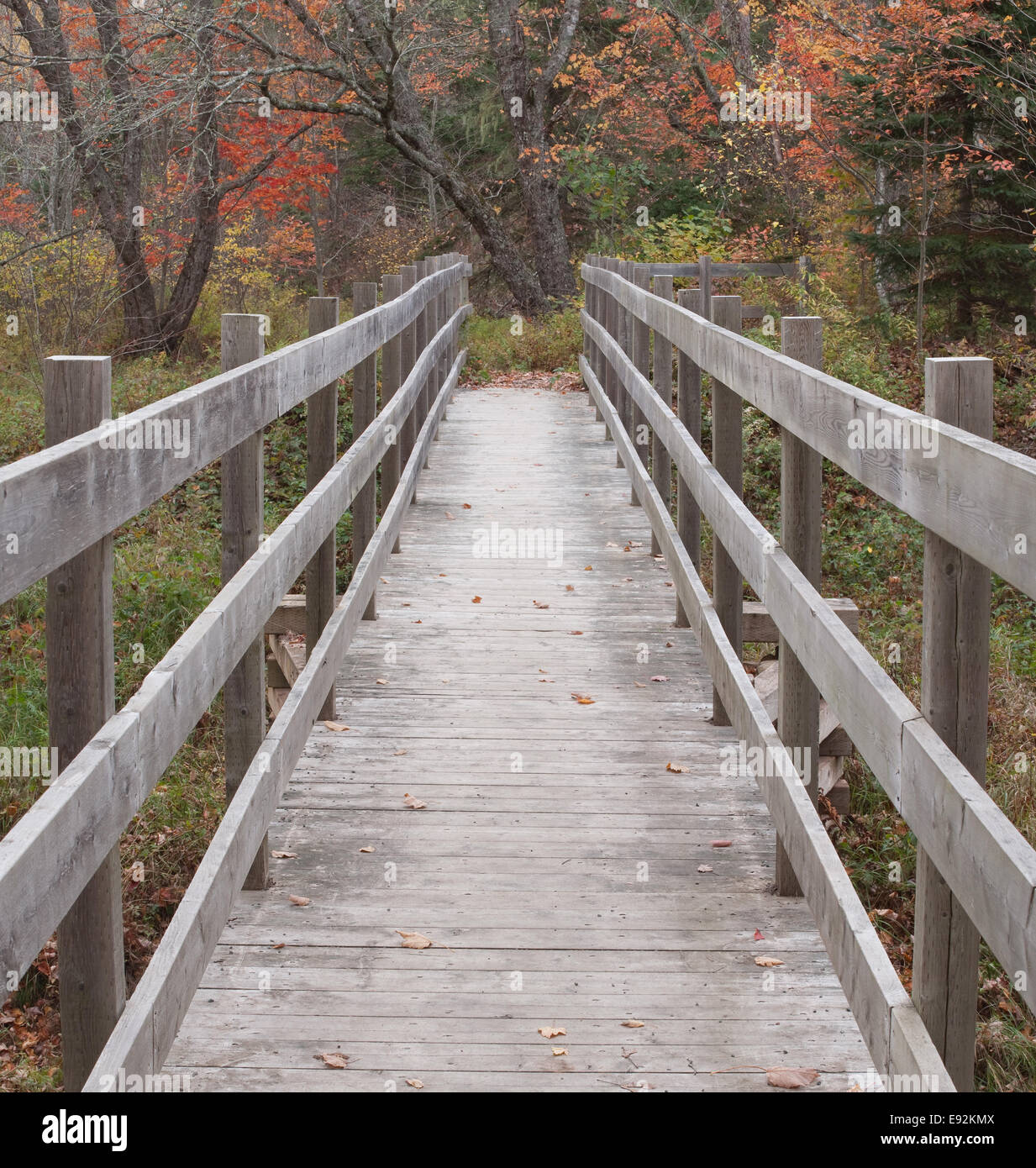 Wooden foot bridge in Autumn Stock Photo - Alamy