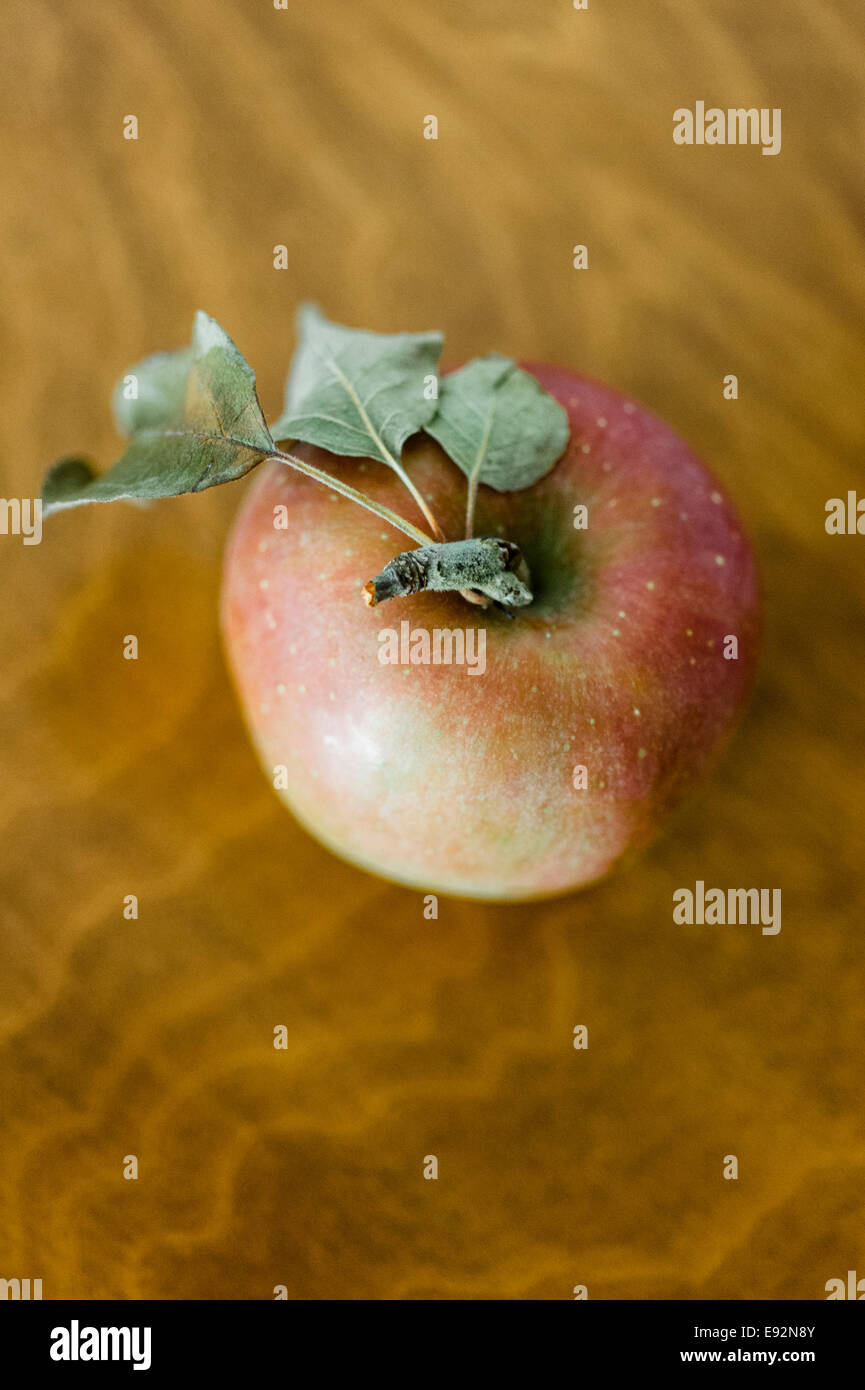 Apple no leaves hi-res stock photography and images - Alamy