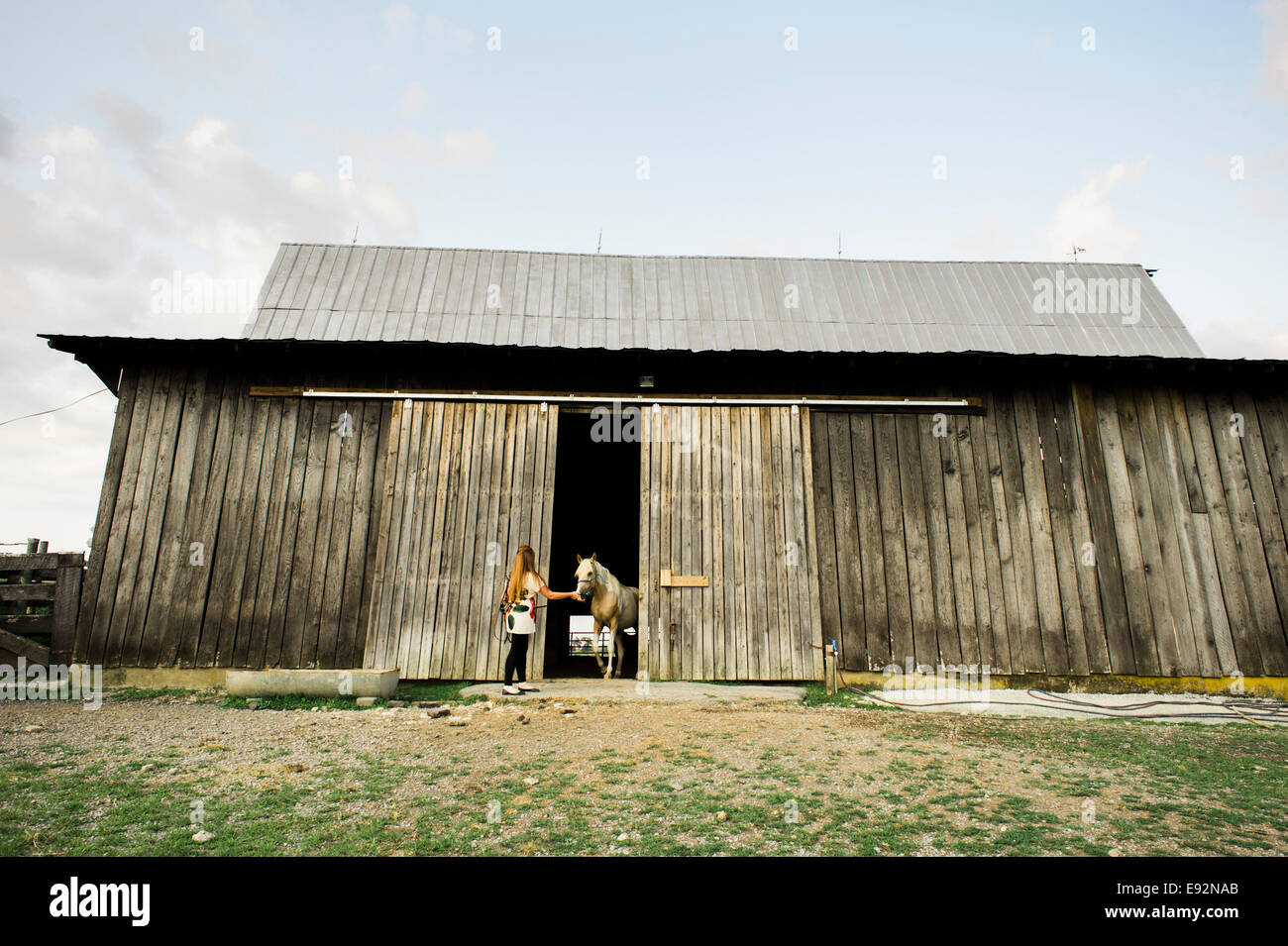 Young Woman Leading Horse out of Barn Stock Photo - Alamy