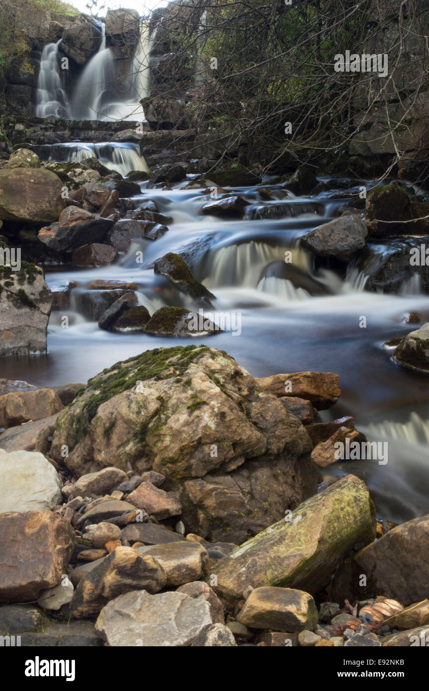 Water flowing through a secluded stream up to a small waterfall Stock ...