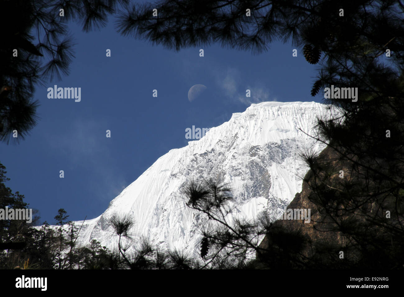 Annapurna 2 summit and moon from the forest Stock Photo - Alamy