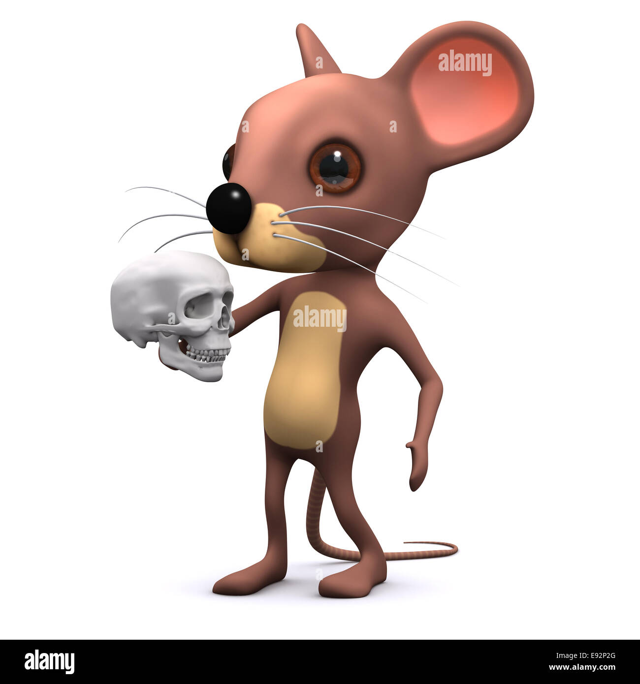Mouse Skeleton High Resolution Stock Photography and Images - Alamy