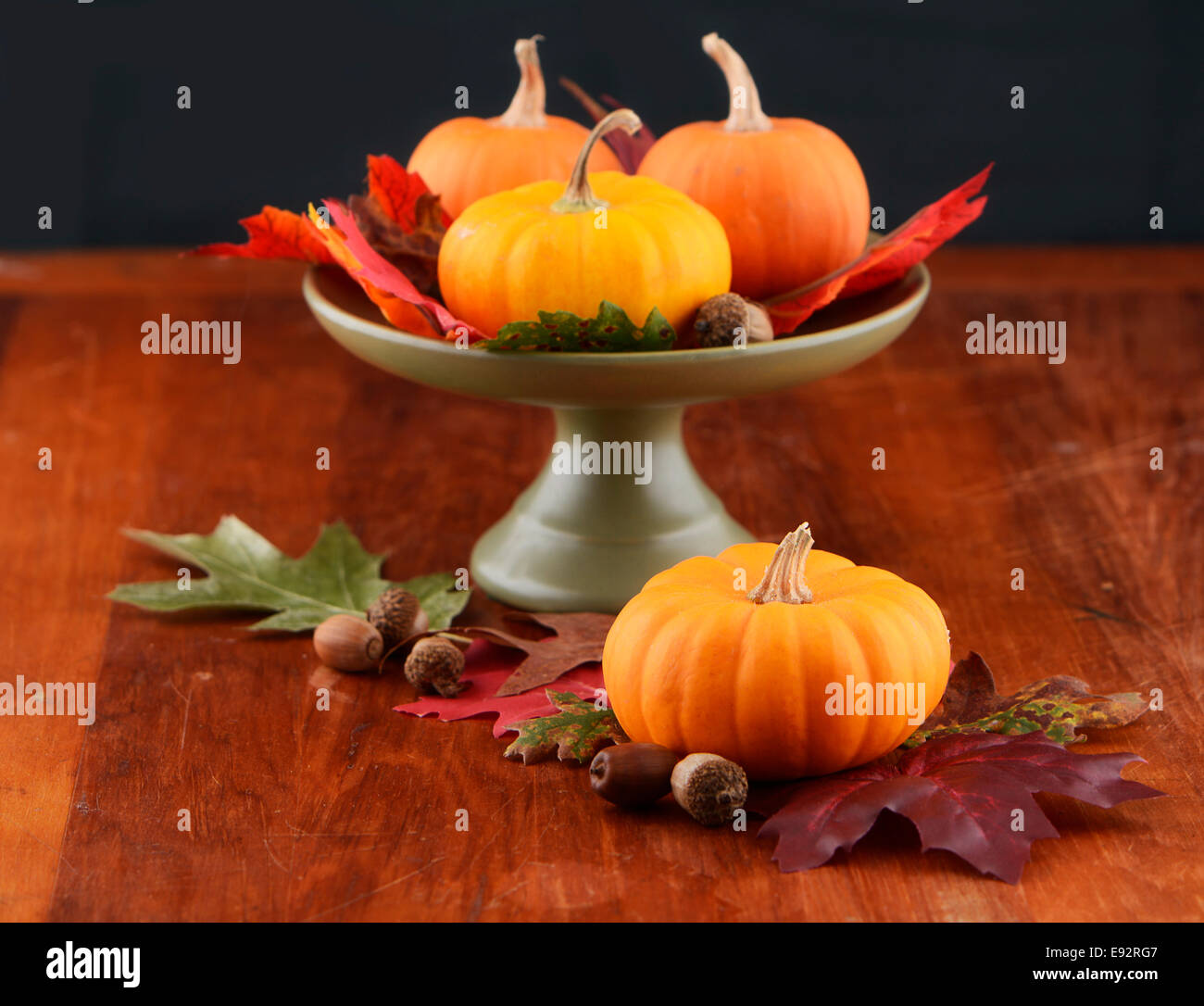 Miniature ornamental pumpkins with dried and artificial leaves create a ...