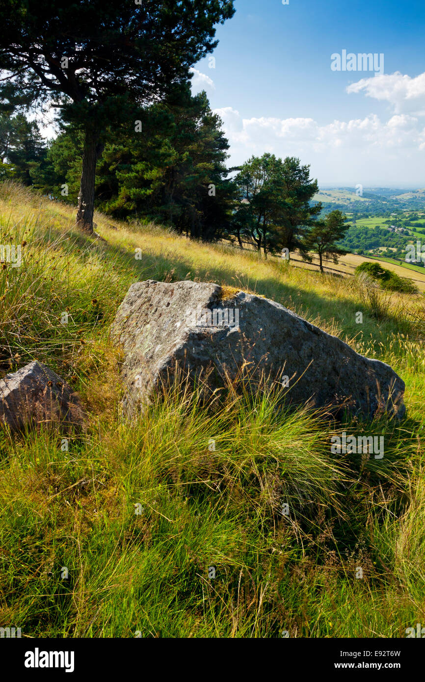 Eccles pike hi-res stock photography and images - Alamy