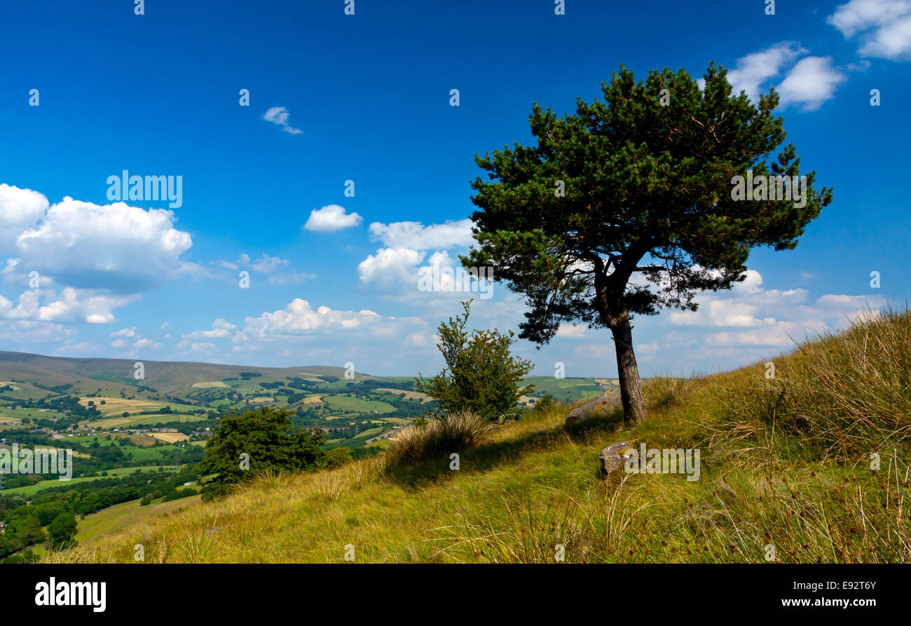 Eccles pike hi-res stock photography and images - Alamy