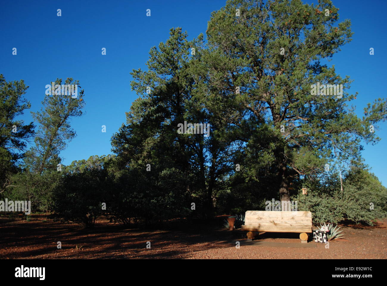 Pinon arizona hi-res stock photography and images - Alamy