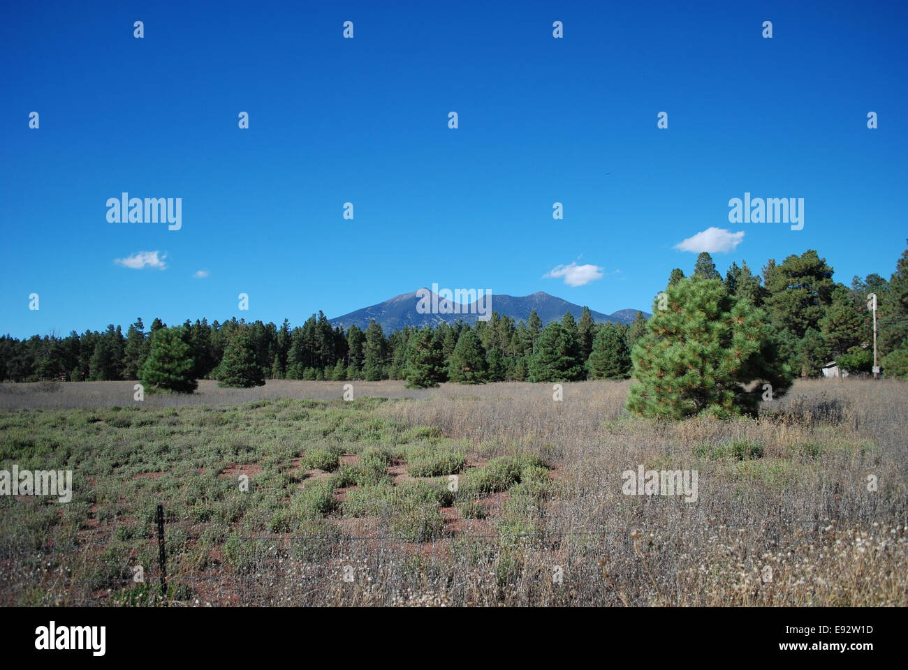 The San Fransisco Peaks in Flagstaff Arizona Stock Photo - Alamy