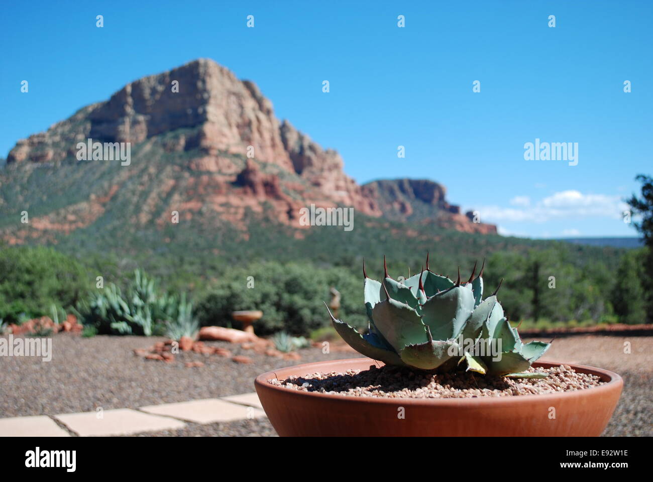 Red Rocks in Sedona, AZ Stock Photo - Alamy