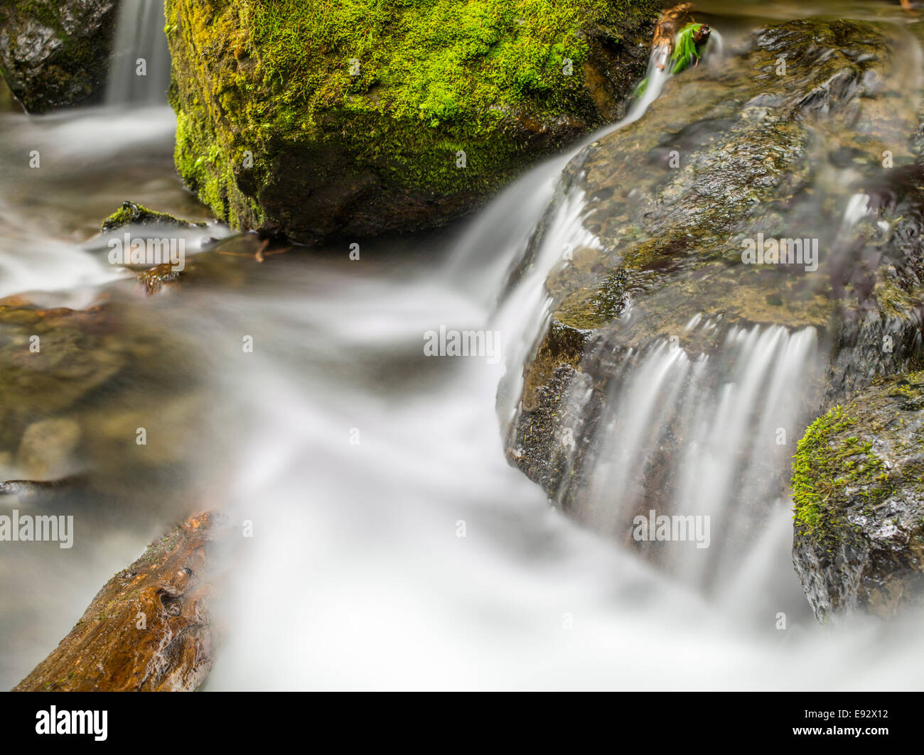 Heavy rainfall pours from hillside creeks into larger streams Stock ...