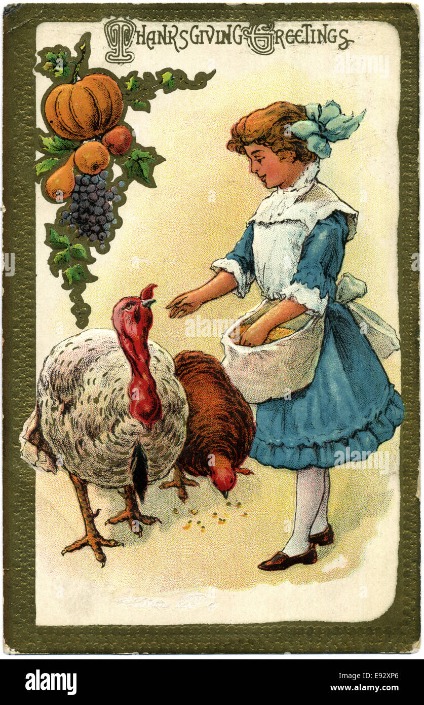 Girl Feeding Turkeys, "Thanksgiving Greetings", Postcard Stock Photo ...
