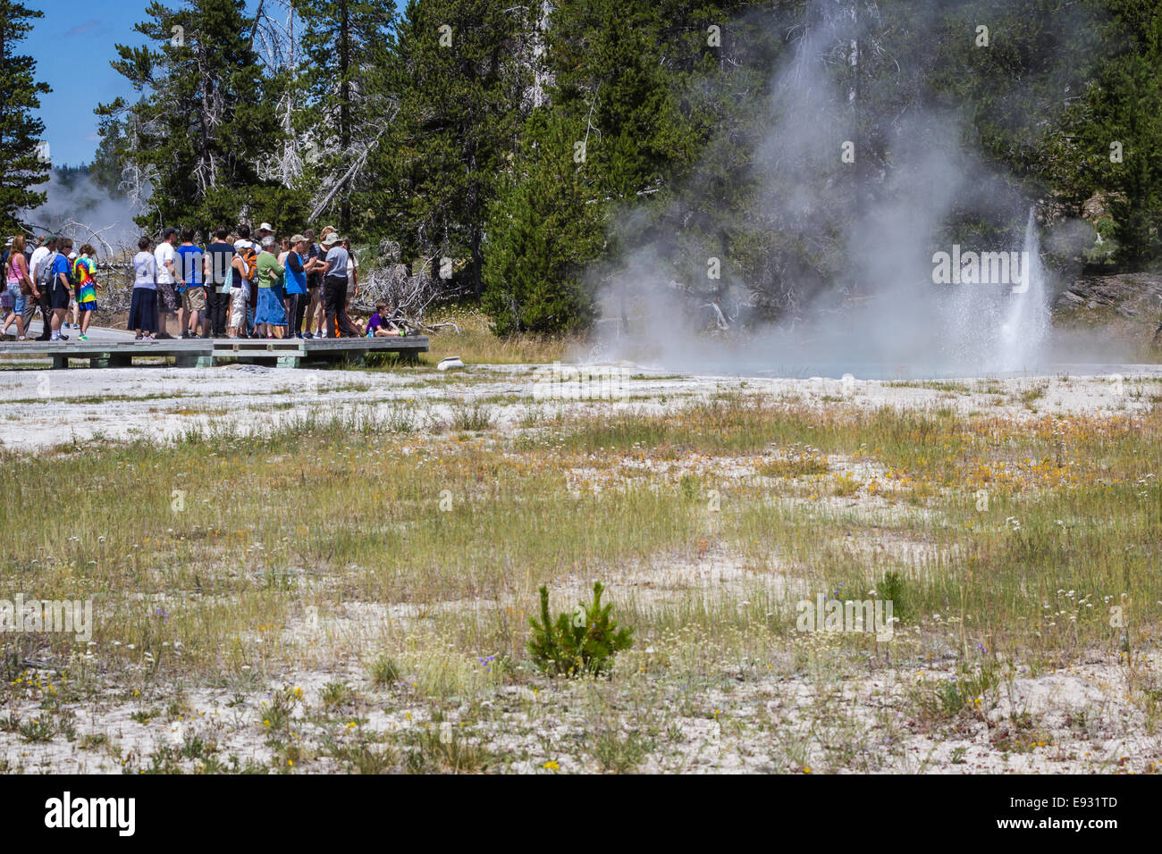 Yellowstone national park, Wyoming - July 22 : group of tourists ...