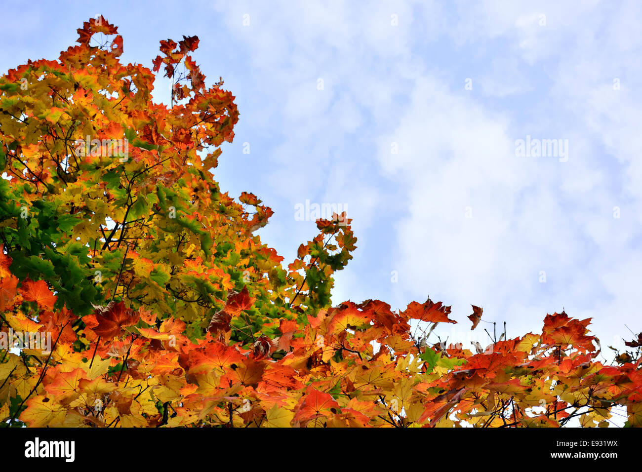 Color dance hi-res stock photography and images - Alamy