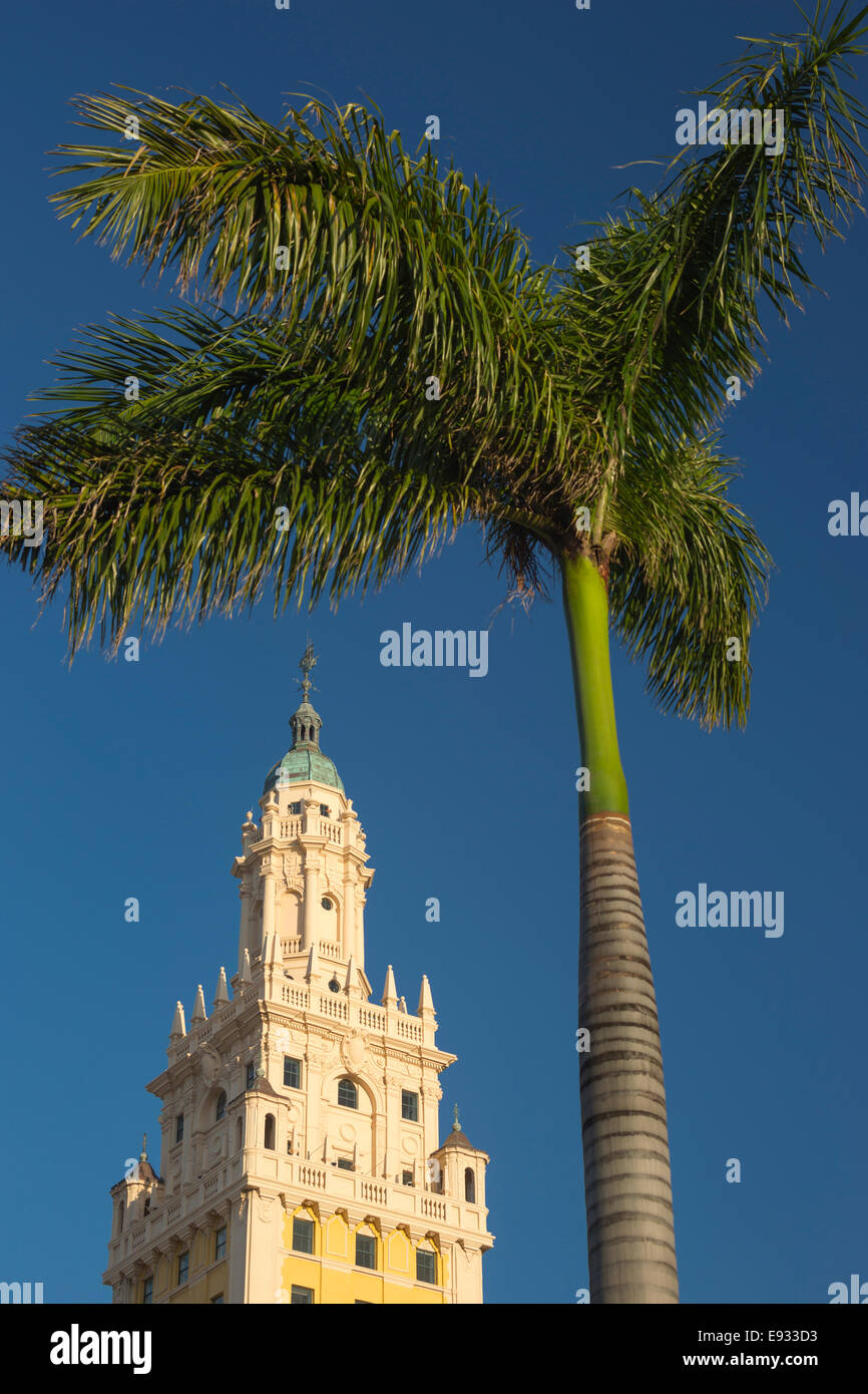 Miami palm tree cuban hi-res stock photography and images - Alamy