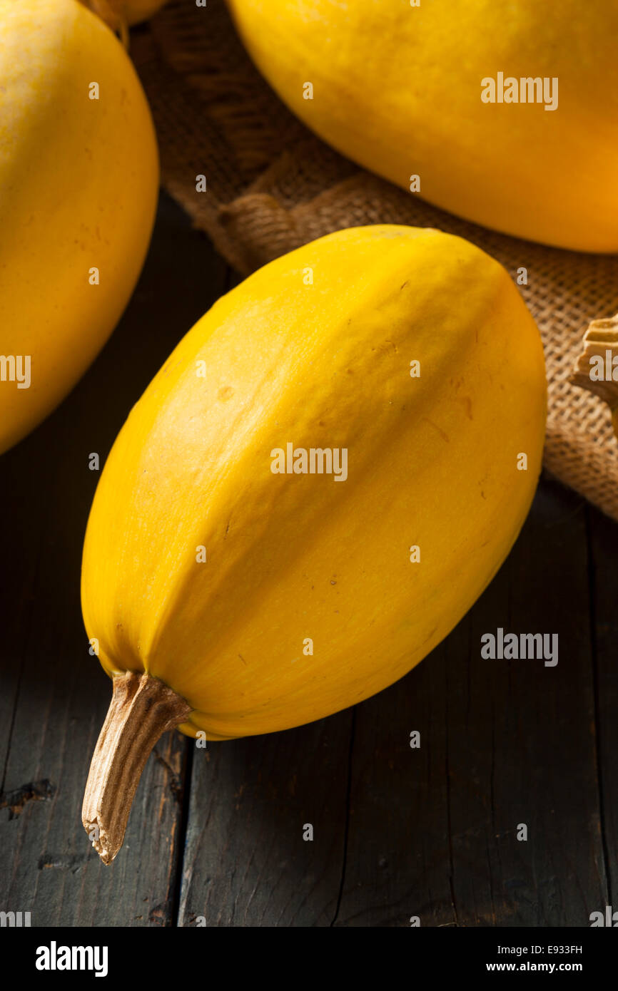 Raw Organic Yellow Spaghetti Squash on a Background Stock Photo - Alamy